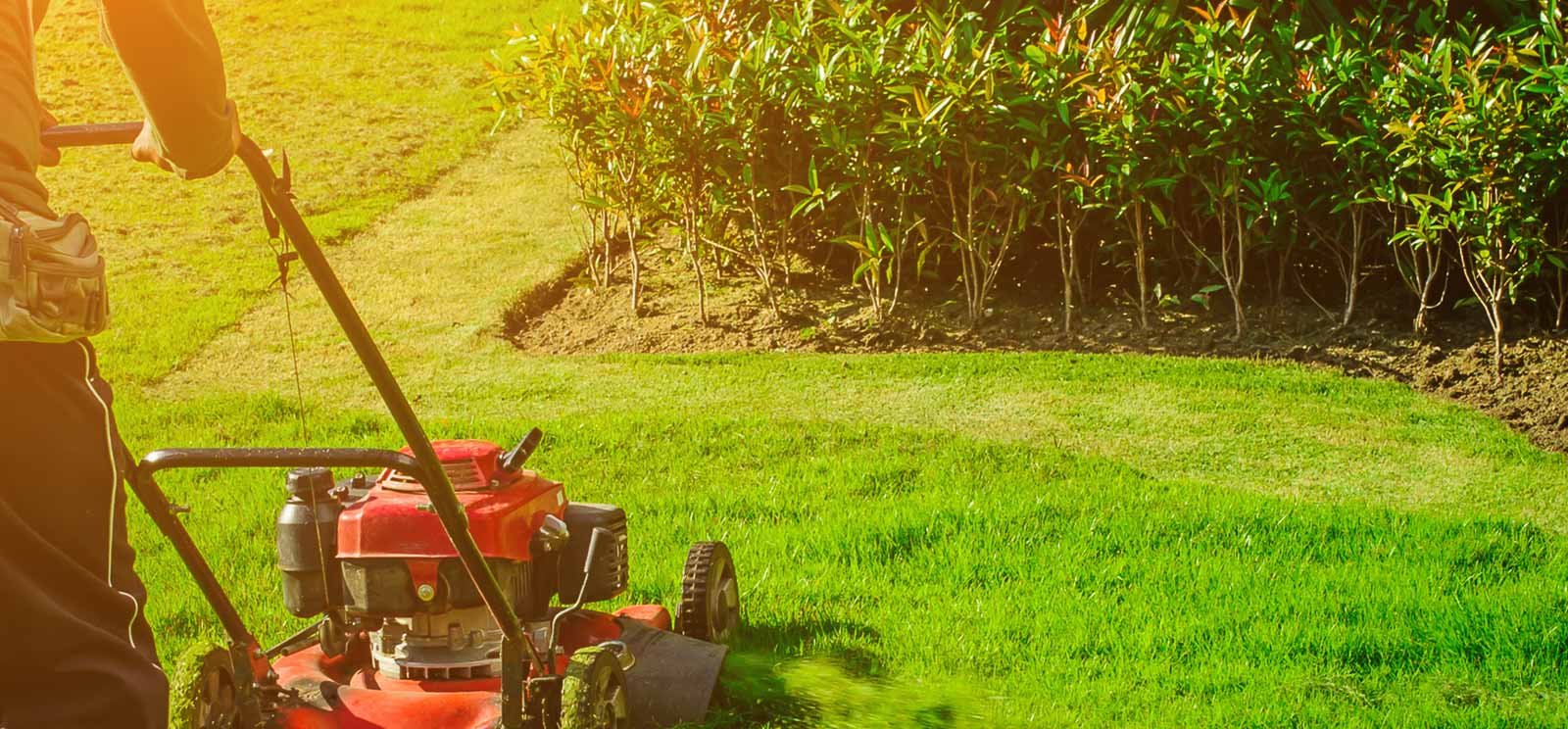 Landscape Business Software